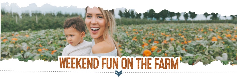 Weekend Fall Fun at Patterson Farms | Charlottes Got A Lot