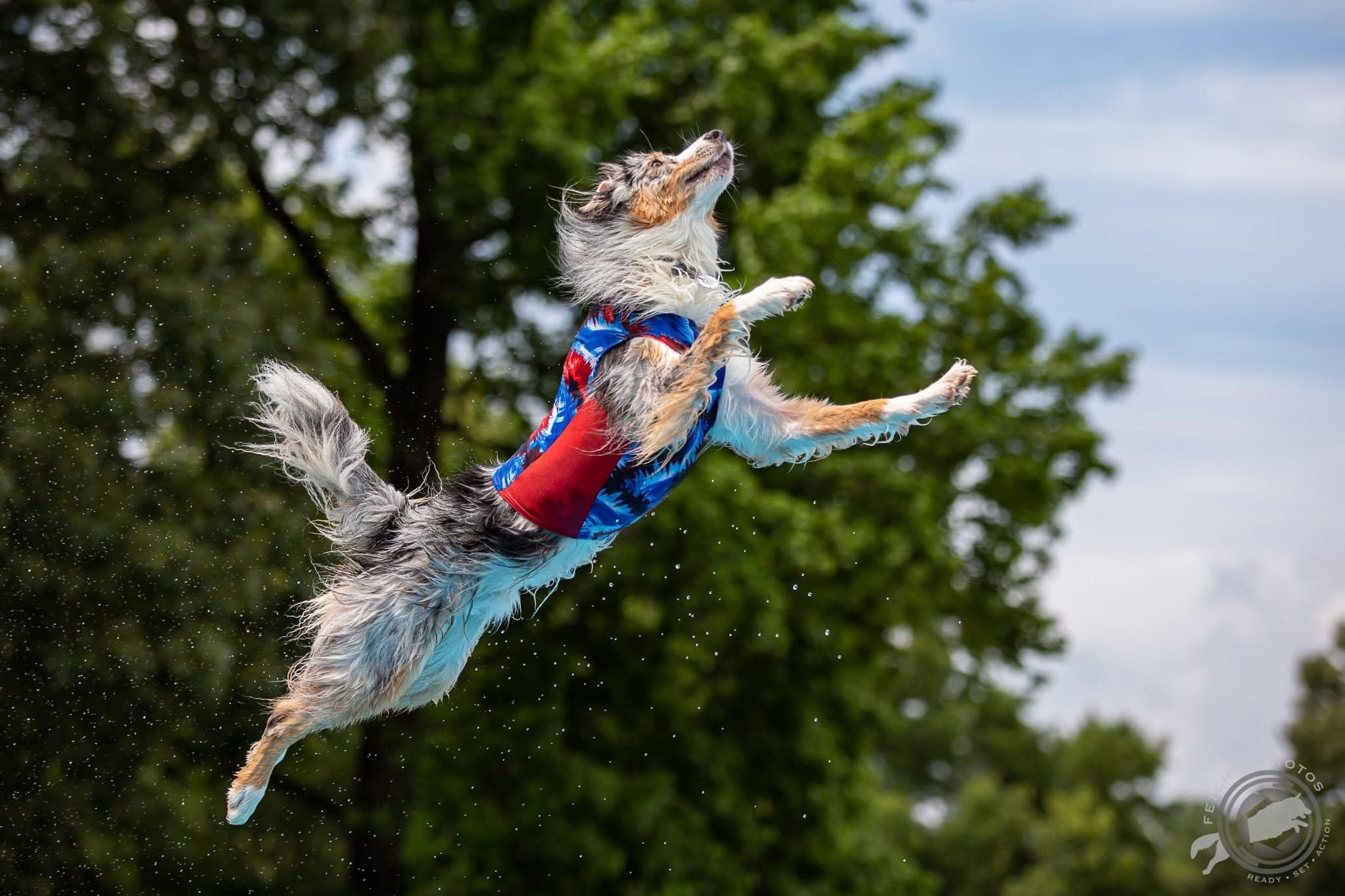 Festivals in Charlotte 2023 | Fall Festival Guide