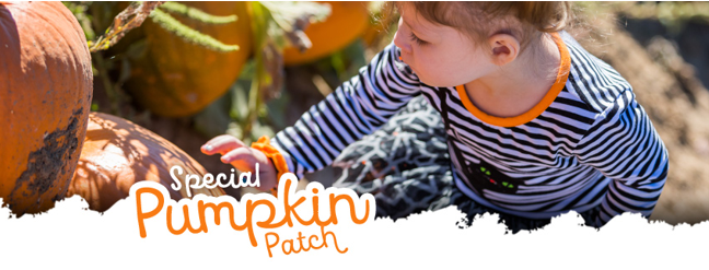 Pumpkin Patch Adventure for those with Special Needs