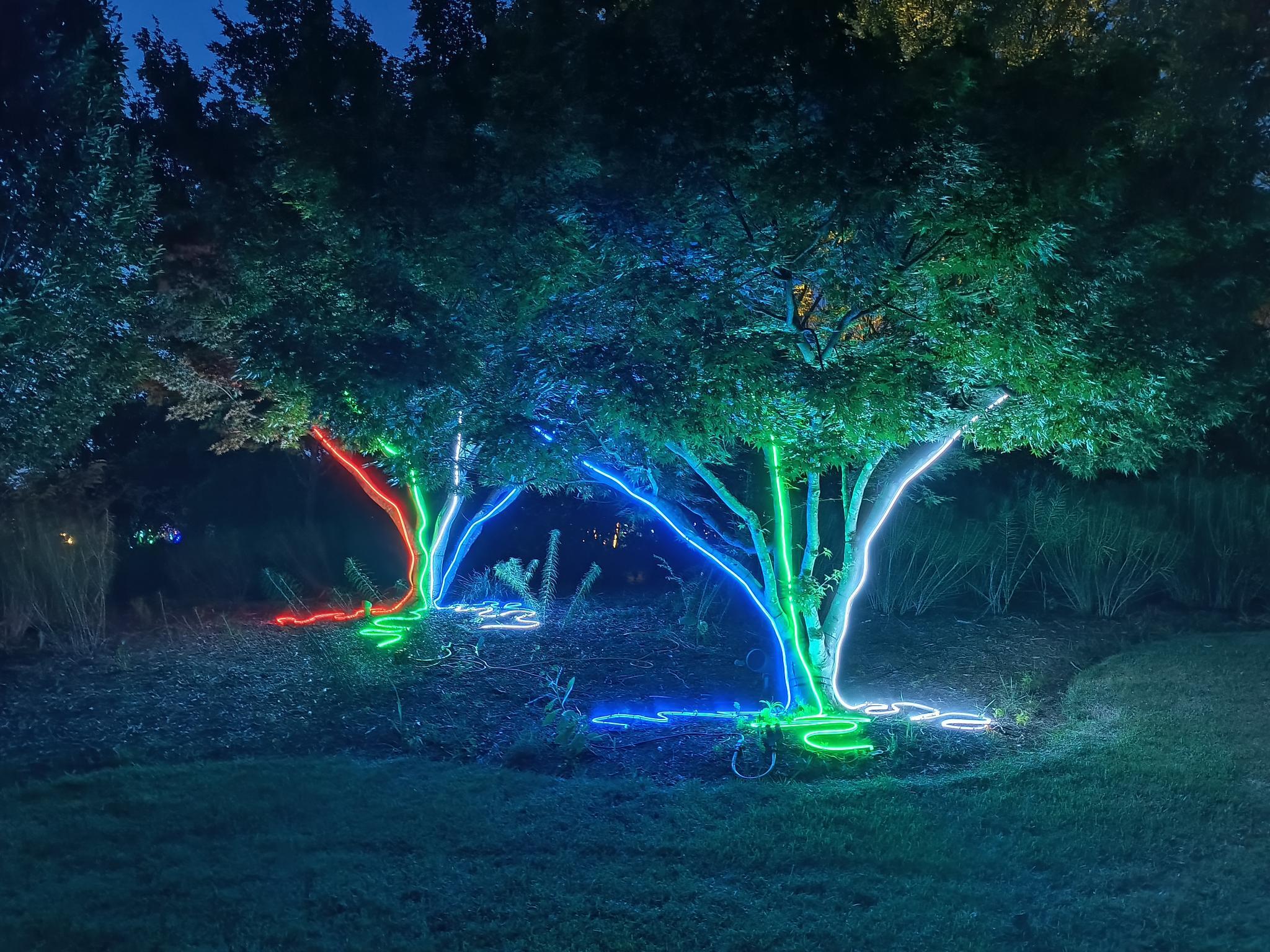 Summer Lights | Charlottes Got A Lot