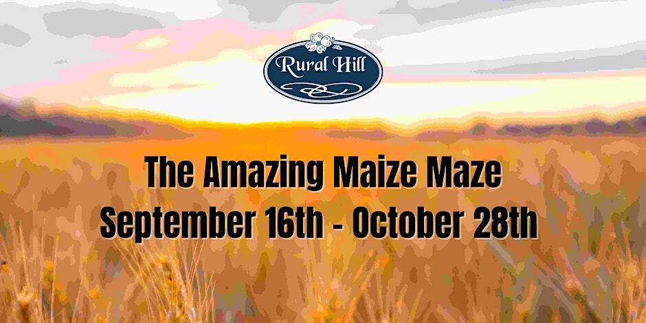 Amazing Maize Maze | Charlottes Got A Lot