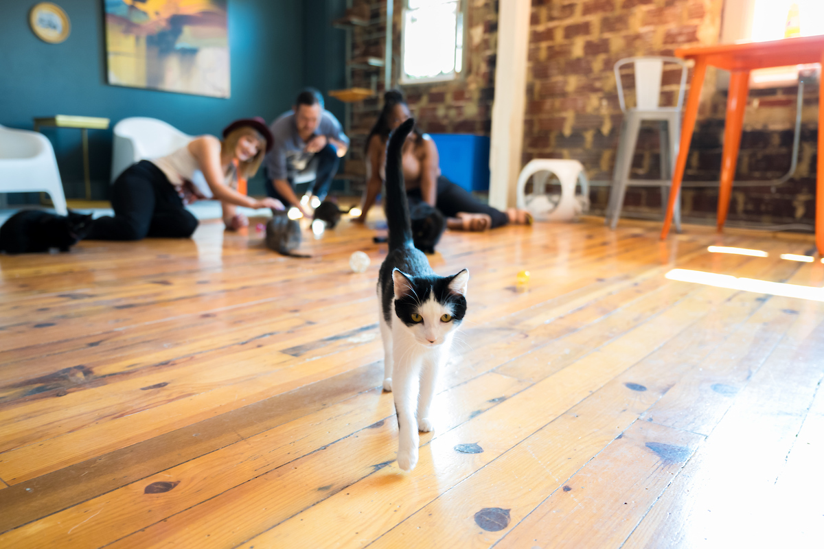 Things to Do in NoDa | Eat & Drink in NoDa, Charlotte