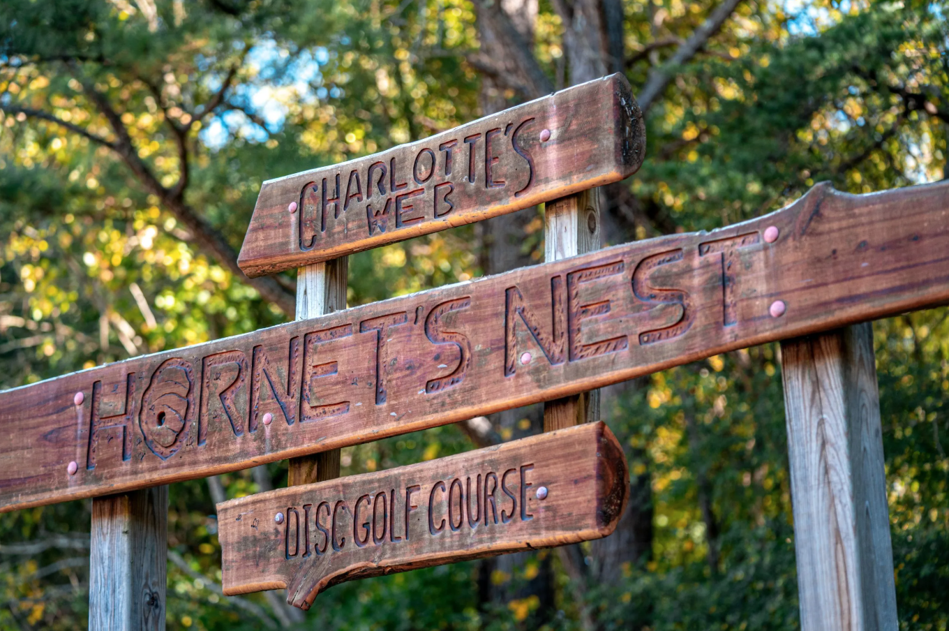 Disc Golf Pro Tour Queen City Classic | Charlottes Got A Lot