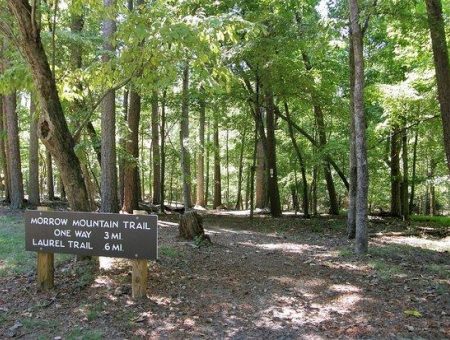 Badin Road Drive-In | Charlottes Got A Lot